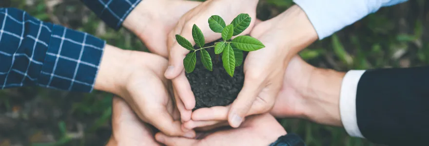 【CSRとは】企業の社会的責任と取り組み紹介～ISO・サステナビリティ・コンプライアンスとの違いは？～ | The Finance